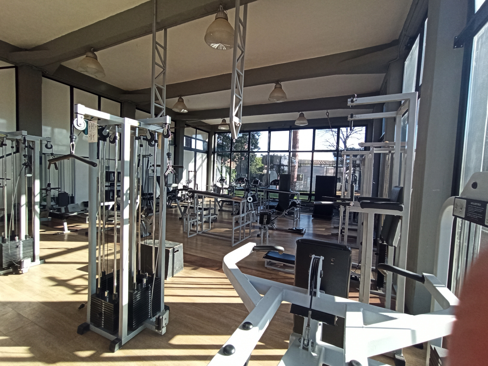 Palestra